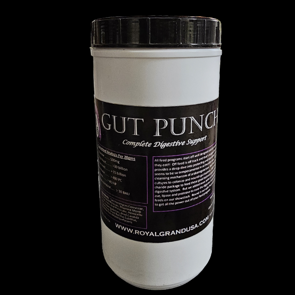 Gut Punch | www.royalgrandusa.com